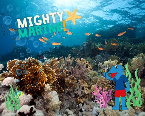 Marine Mayhem | Fun Ocean Facts for Kids & Parents | Blog
