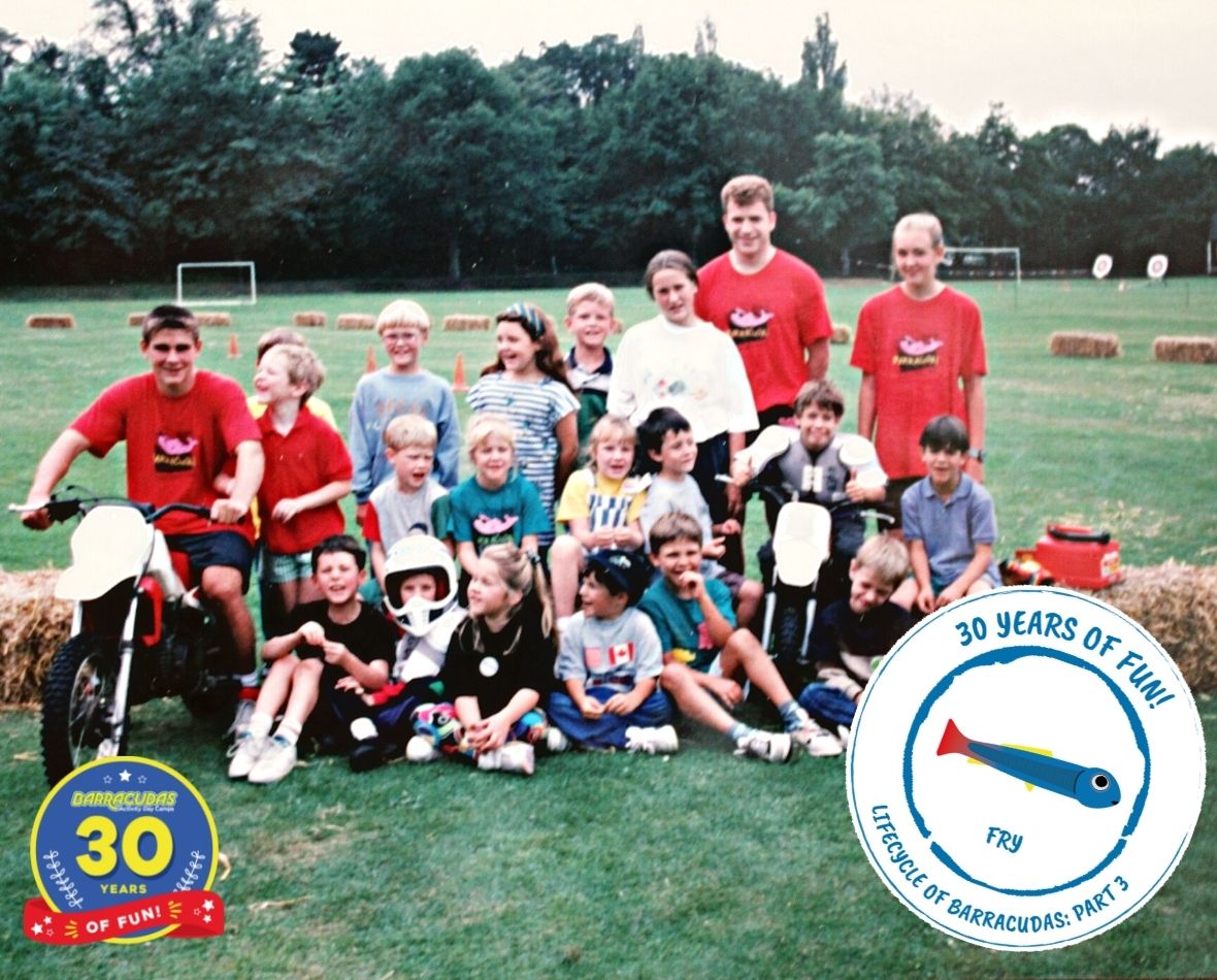 How Barracudas Camps Grew | Life Cycle of Barracudas | Blog