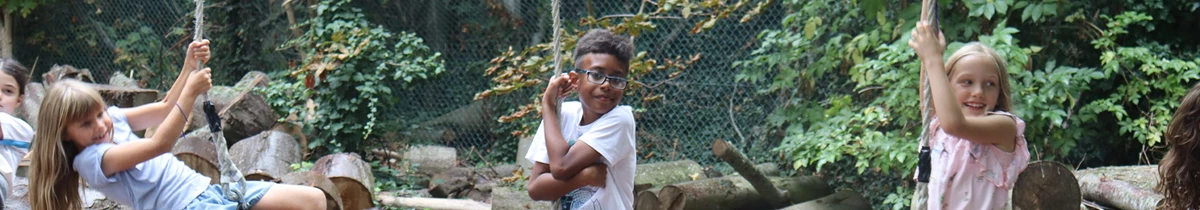 Kids Activity Camp In Ripley | Holiday Camp In Ripley | Barracudas