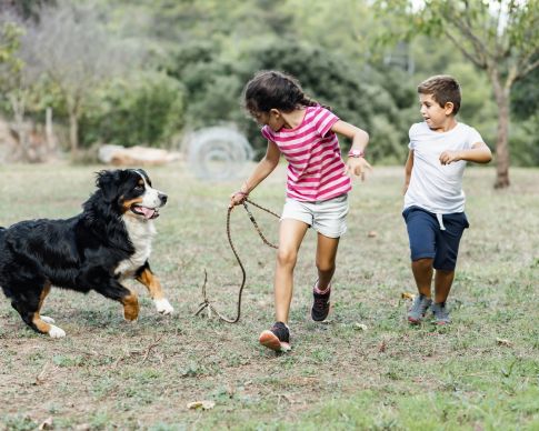 Choosing the Best Pet for Your Child | Great Pets for Kids | Blog